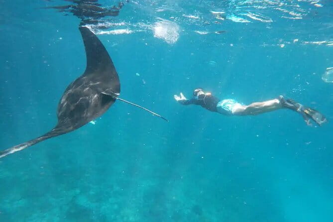 Nusa Lembongan Snorkeling with Manta Bay & Island Tour from Bali - Frequently Asked Questions