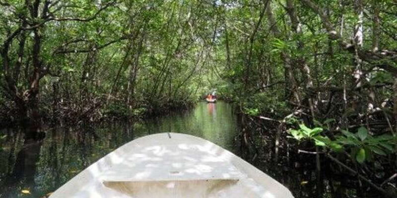 Nusa Lembongan Tour: Island and Mangrove Adventure - The Experience’s Strengths and Limitations