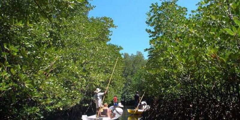 Nusa Lembongan Tour: Island and Mangrove Adventure - Final Thoughts: Is It Worth It?