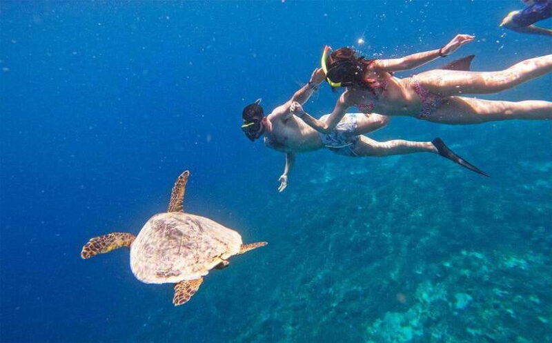 Nusa Penida Afternoon Private Manta Safari Snorkeling - The Experience: What Travelers Usually Say