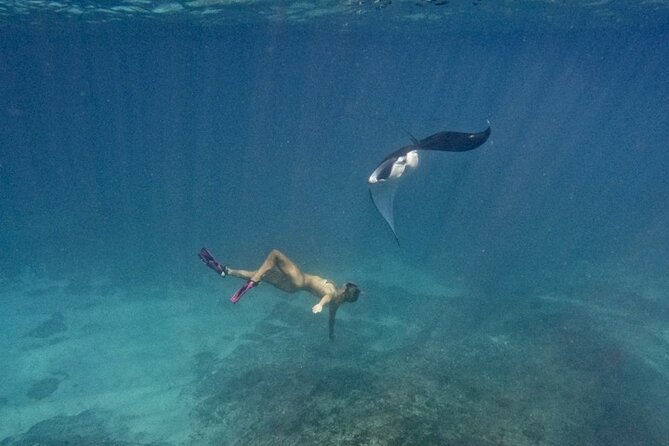 Nusa Penida day trip: boat, 4 snorkeling, Manta rays & Land tour - Who Should Consider This Tour?