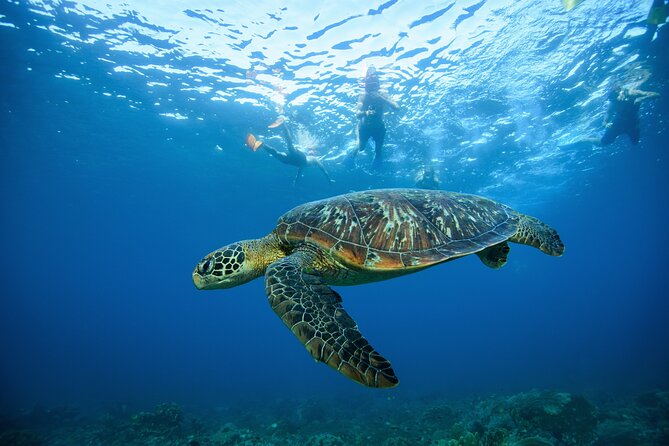 Nusa Penida day trip: boat, 4 snorkeling, Manta rays & Land tour - FAQs