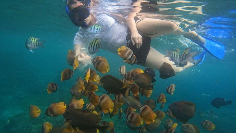 Nusa Penida: East Coast Snorkeling Tour with GoPro - Practical Details and Tips