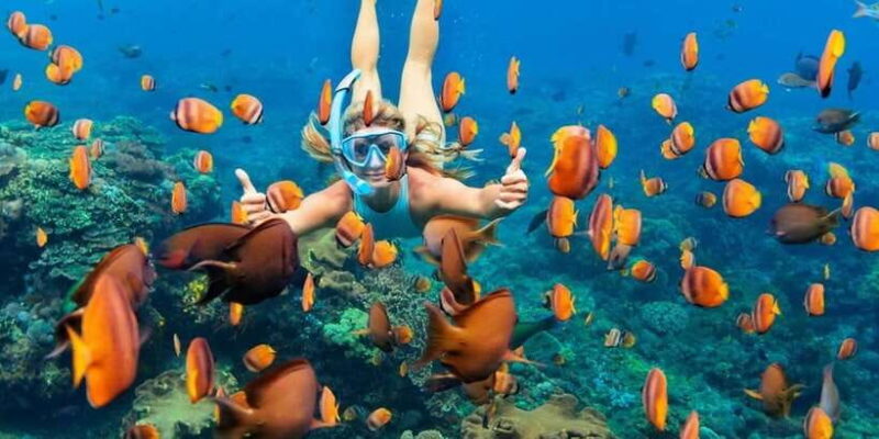 Nusa Penida: Full-Day Guided Snorkeling & Island Tour - Key Points