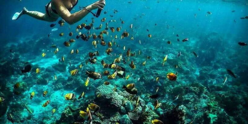 Nusa Penida: Full-Day Guided Snorkeling & Island Tour - Snorkeling Experience: Expectation vs Reality