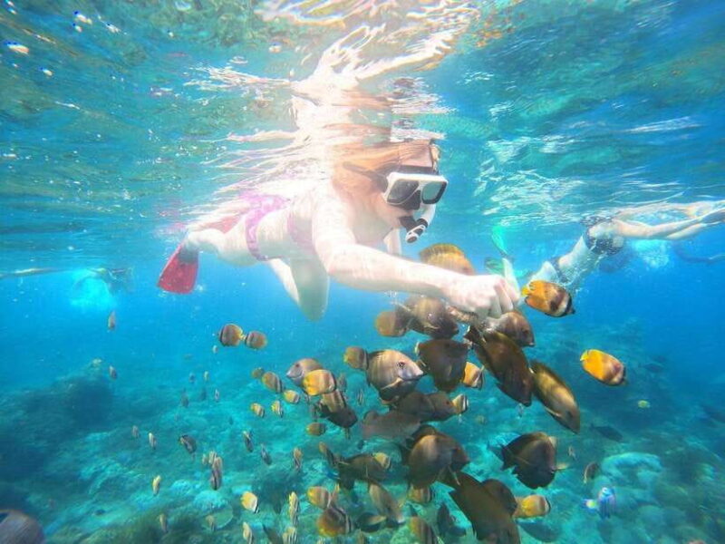 Nusa Penida: Full Day Private Snorkeling With Manta Ray - Key Points