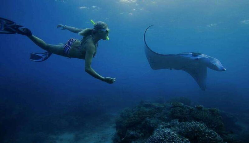 Nusa Penida: Full Day Private Snorkeling With Manta Ray - Final Thoughts: Is It Worth It?