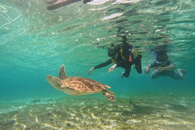 Nusa Penida & Gili Trawangan 3Days 2Night (Snorkeling) - Authenticity & Guest Feedback