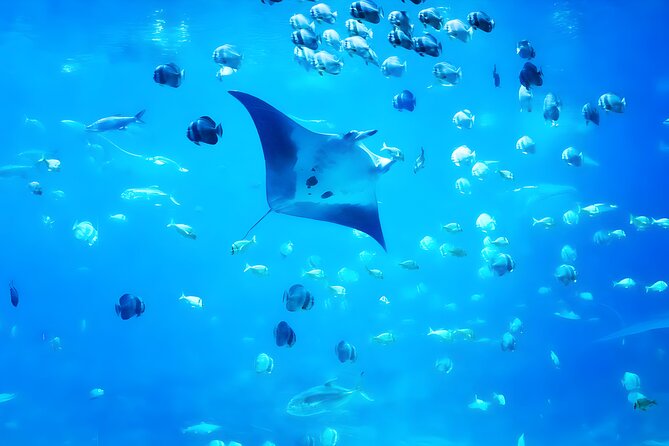 Nusa Penida Island Beach Tour With Snorkeling - Departure From Bali Island - Final Thoughts: Is It Worth It?