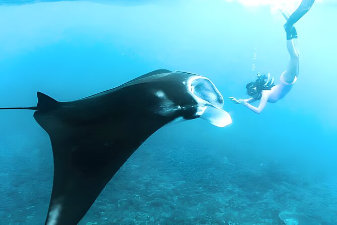 Nusa Penida Island Beach Tours with Snorkeling From Bali - Exploring Nusa Penida: A Detailed Breakdown