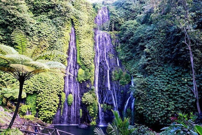 Nusa Penida Island Tour with Lunch - Who Will Love This Tour?