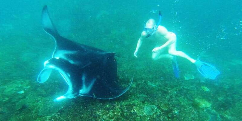 Nusa Penida: Manta Point 3 Spot Snorkeling and Land Tour - What Makes This Tour Stand Out?