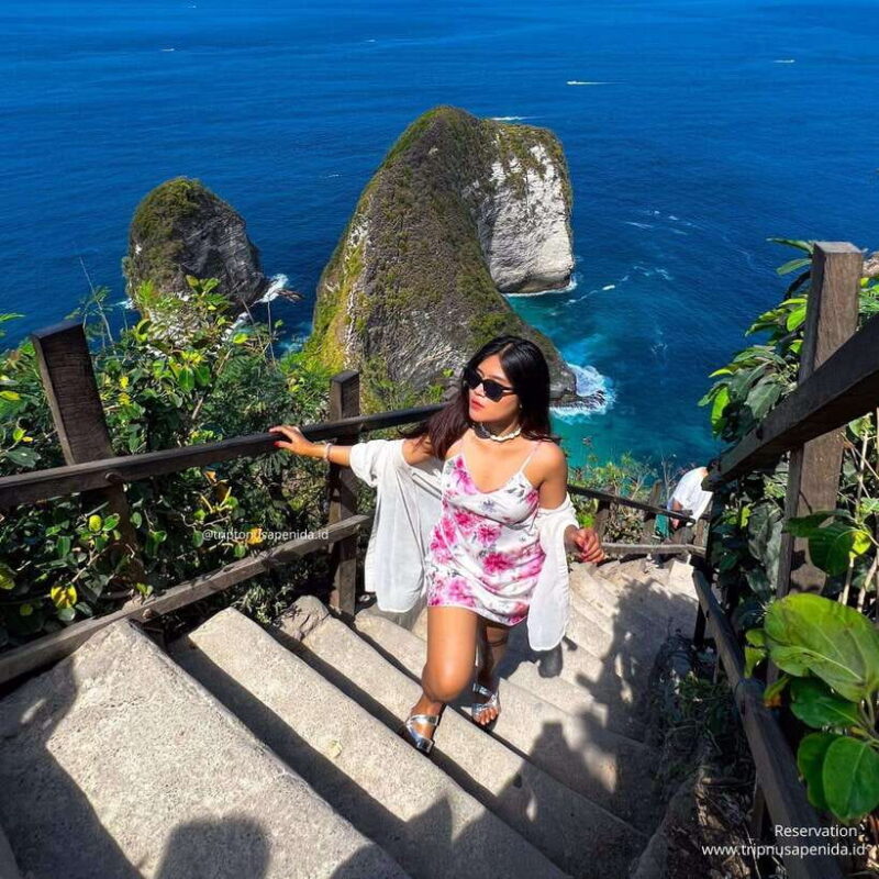 Nusa Penida: Private Car and Driver with Mix Trip - The Experience: What Travelers Say