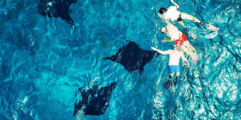 Nusa Penida Private Manta Point Snorkeling And Land Tour - Key Points