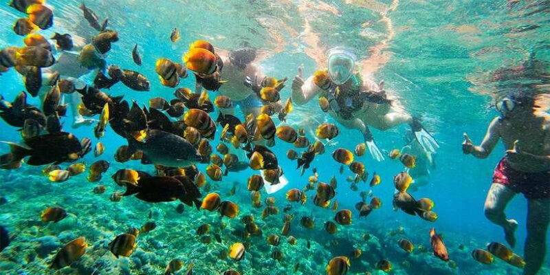 Nusa Penida Private Manta Point Snorkeling And Land Tour - Why This Tour Stands Out