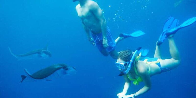 Nusa Penida Private Manta Point Snorkeling And Land Tour - Who Is This Tour Best For?