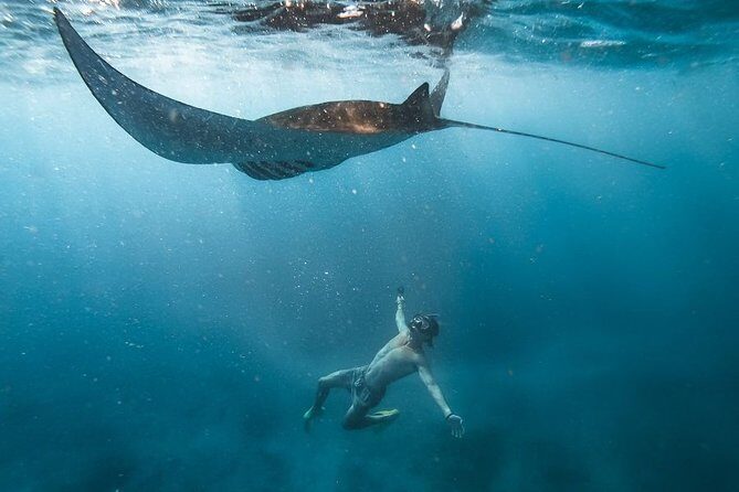 Nusa penida private senorkeling with Manta - Introducing the Nusa Penida Private Snorkeling with Manta Tour