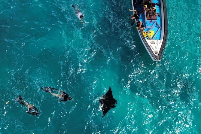 Nusa Penida Private Snorkeling and Land Tour Start from Bali - Introduction