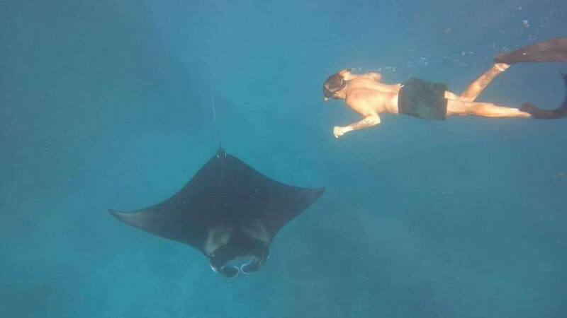 Nusa Penida: Private Snorkeling with Manta Ray and West Tour - Key Points