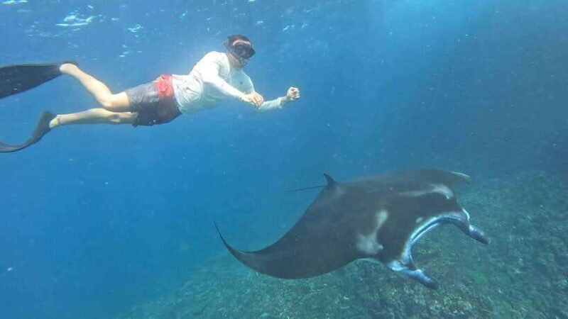 Nusa Penida: Private Snorkeling with Manta Ray and West Tour - Transport and Logistics