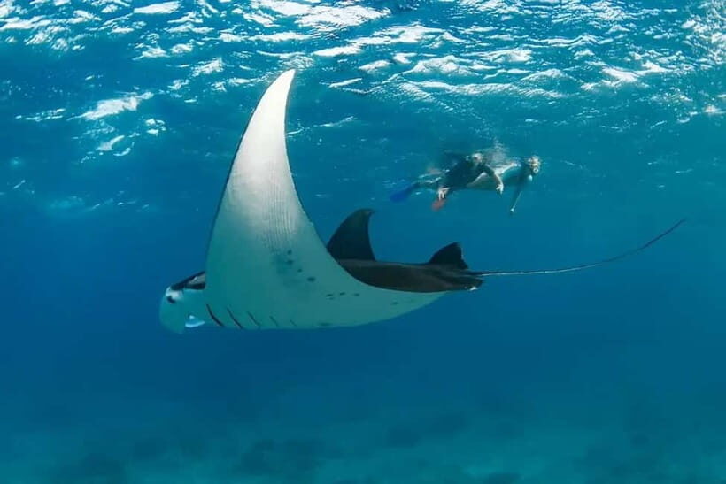Nusa Penida: Snorkel 3 Spots w/ GoPro & Mangrove Paddle Tour - The Sum Up: Who Will Love This Tour?