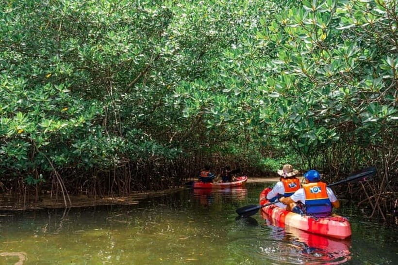 Nusa Penida: Snorkeling 3 Spots with GoPro & Kayak Mangroves - FAQ