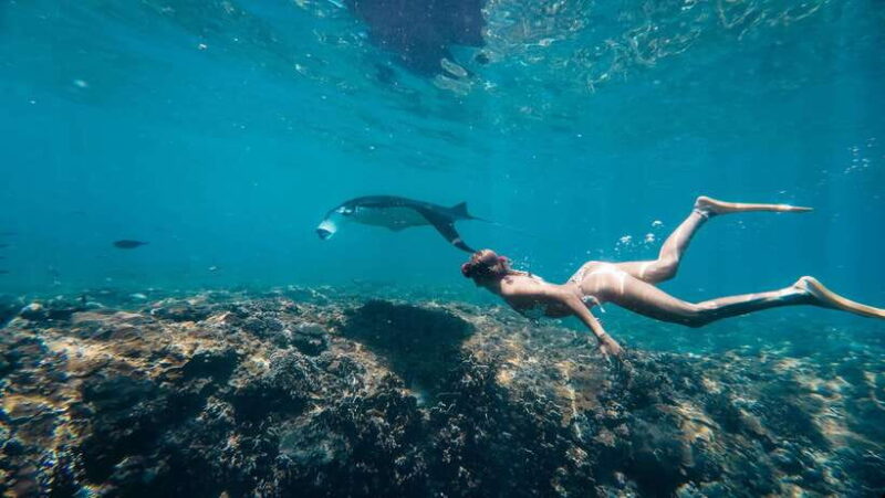 Nusa Penida: Snorkeling 3 Spots with GoPro & West Land Tour - FAQ