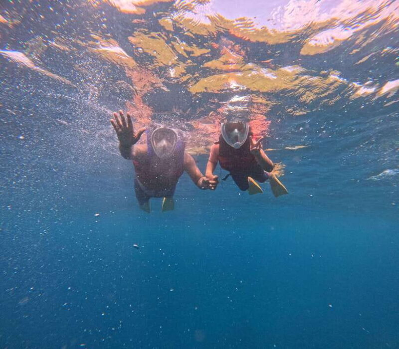 Nusa Penida: Snorkeling and Island Tour with Lunch - Who Should Consider This Tour?