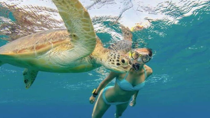 Nusa Penida: Snorkeling at Manta Point and West Coast Tour - What the Tour Includes and Why It Matters