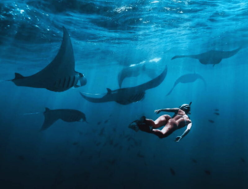 Nusa Penida: Snorkeling at Manta Point and West Coast Tour - FAQ