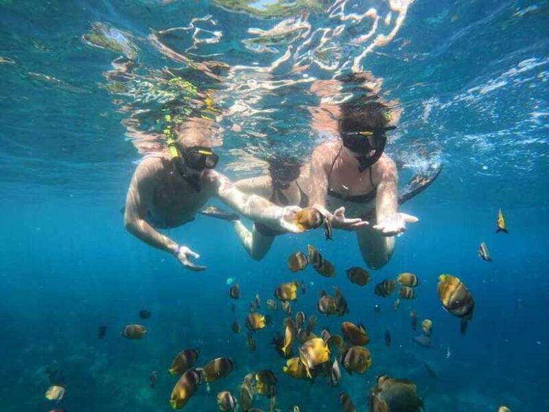 Nusa Penida: Snorkeling Tour with Transfers from Sanur - Final Thoughts