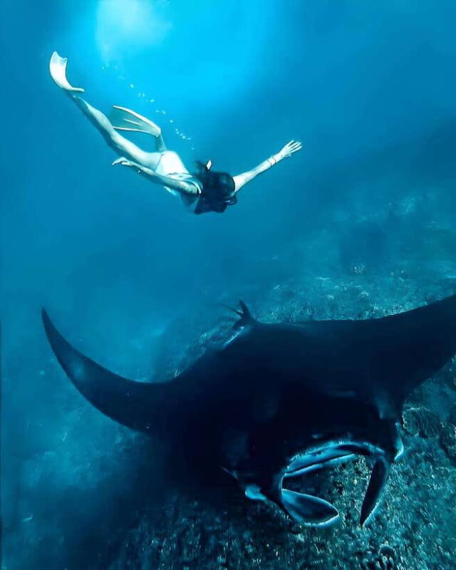 Nusa Penida: Snorkeling Trip with Manta Rays From Bali - What’s Included and What You Need to Know