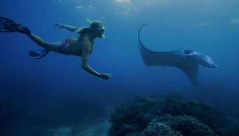 Nusa Penida: Snorkeling Trip with Manta Rays From Bali - Who Should Consider This Tour?