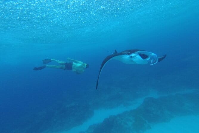 Nusa Penida Snorkling Package - The Sum Up: Is This Tour Worth It?
