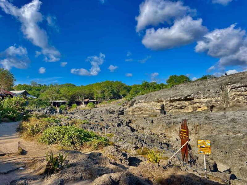 Nusa Penida: Tour 1 day West Coast with Local Guide - Who Will Love This Tour?