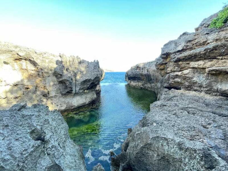 Nusa Penida: Tour 1 day West Coast with Local Guide - The Sum Up