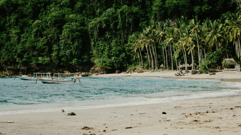 Nusa Penida Tour : Trip from Bali - Optional Bali Transfer - A Detailed Look at the Nusa Penida Tour Experience