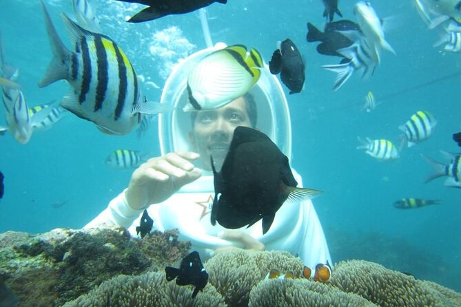 Nusa Penida Trip with Snorkeling all-Inclusive - Why This Tour Offers Good Value