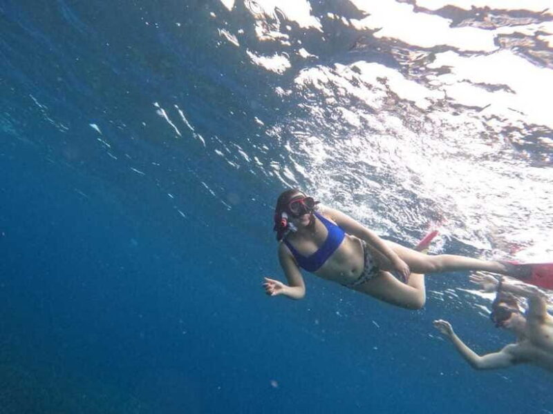 Nusapenida Snorkeling and Land Tour - What to Expect and What to Bring
