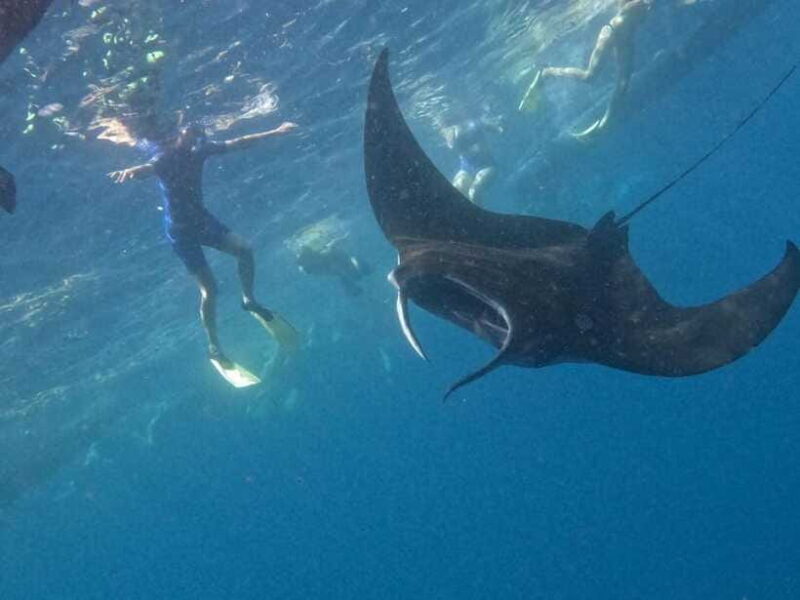 Nusapenida Snorkeling and Land Tour - Final Thoughts: Who Should Consider This Tour?