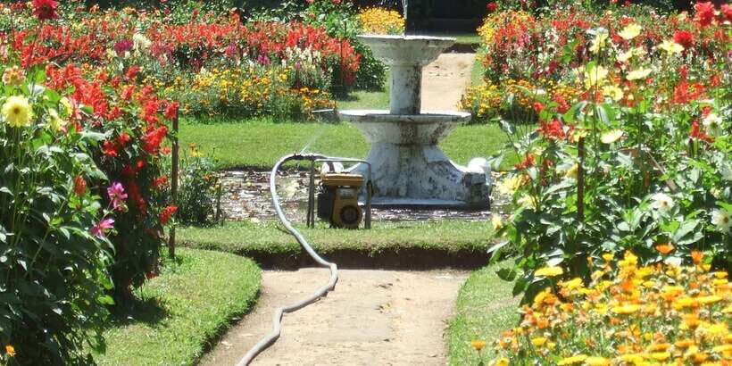Nuwara Eliya: All-Inclusive Private Sightseeing Day Tour - Introduction: What to Expect from the Nuwara Eliya Tour