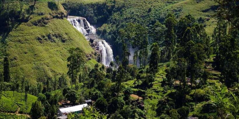 Nuwara Eliya: All-Inclusive Private Sightseeing Day Tour - Who Will Love This Tour?