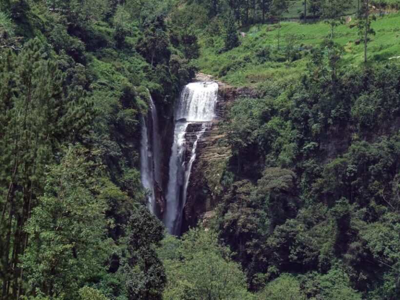 Nuwara Eliya: All-Inclusive Private Sightseeing Day Tour - The Sum Up