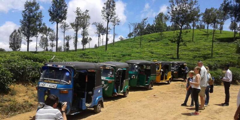 Nuwara Eliya: Ella & Little Adam's Peak All-Inclusive Tour - Lunch Break and Rest