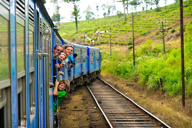 Nuwara Eliya from Kandy by Train - Who Is This Tour Best For?