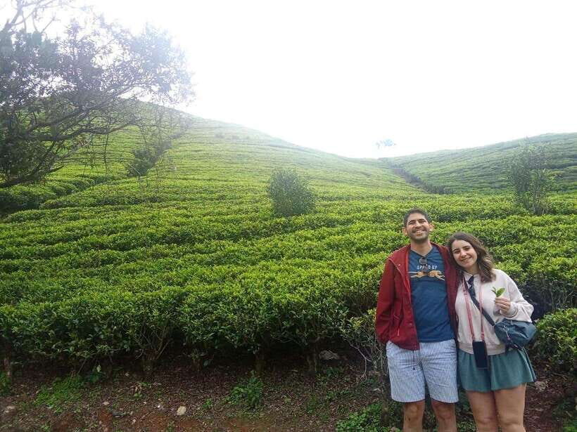 Nuwara Eliya Full day: 5Waterfalls, 2Tea Test & pick by TUK - The Sum Up