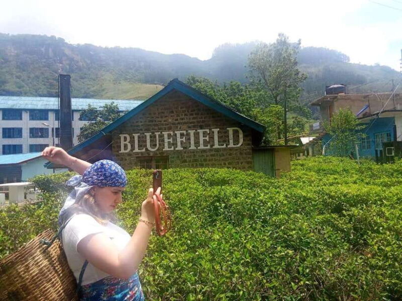 Nuwara Eliya Full day: 5Waterfalls, 2Tea Test & pick by TUK - Value and Practicality