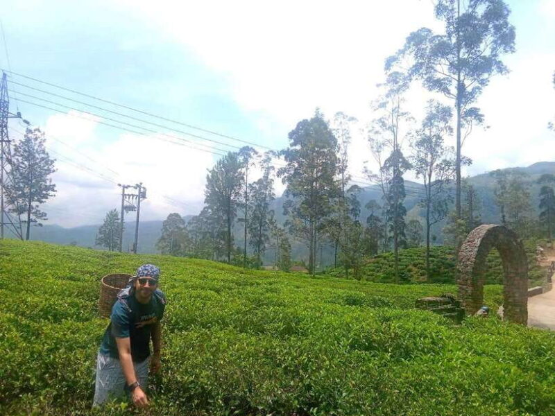 Nuwara Eliya Full day: 5Waterfalls, 2Tea Test & pick by TUK - FAQ
