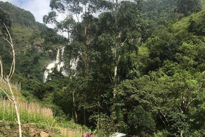 Nuwara Eliya Half Day Private Hiking and Sightseeing Tour - Authentic Experiences and Traveler Feedback