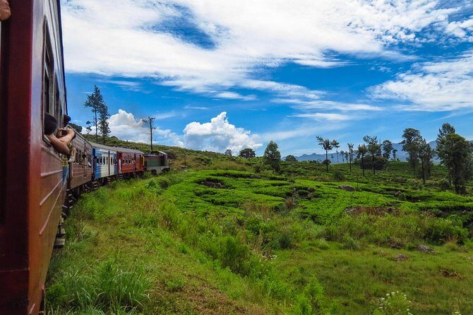 Nuwara Eliya journey by Train and car (2 Days with 01 Night) - An In-Depth Look at the Two-Day Nuwara Eliya Tour